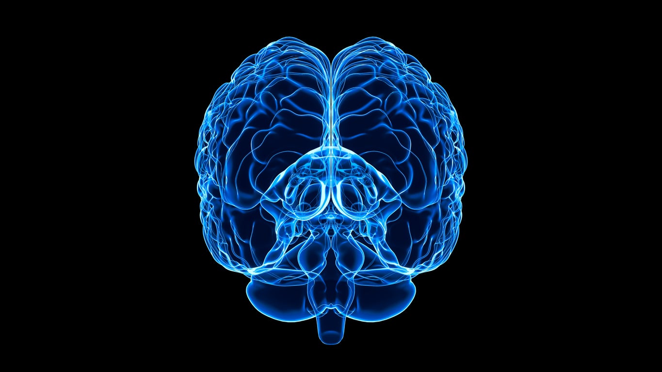 AI Proof of Concept (PoC) Development Services — ITRex